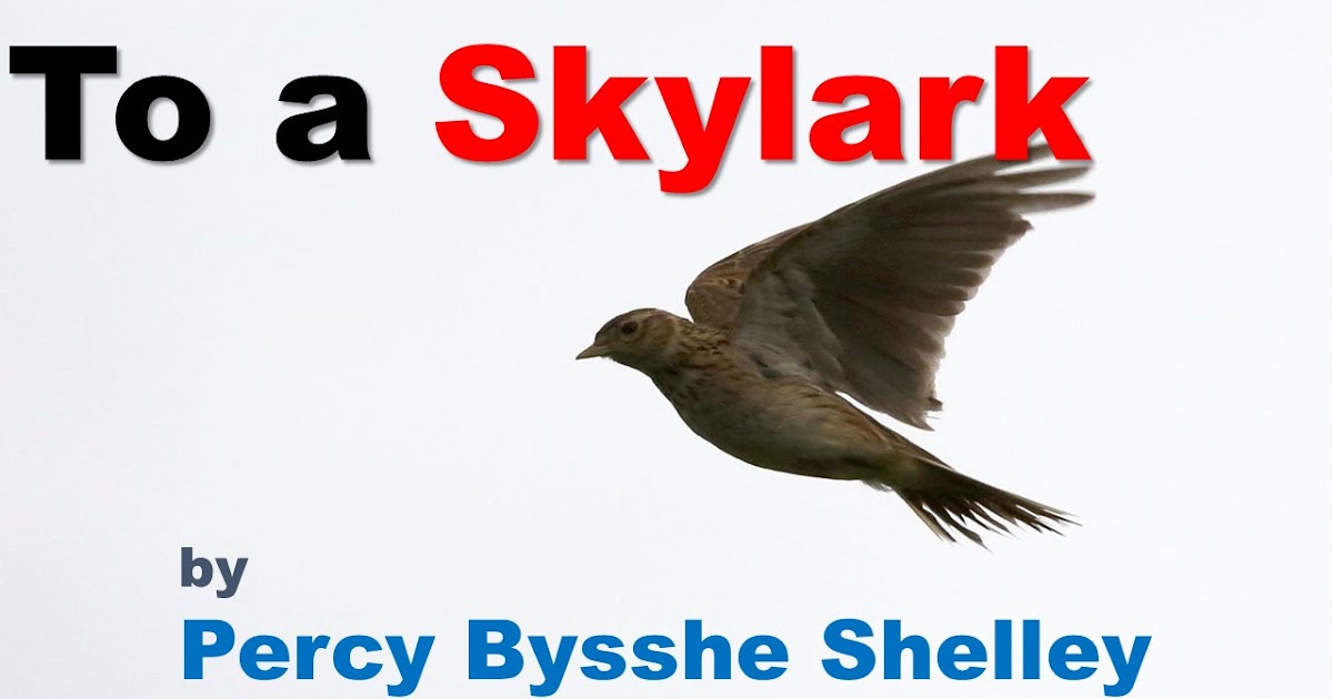 To a Skylark by Percy Bysshe Shelley (Poem, Summary & Analysis)