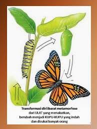 Diari Online Suri: TRANSFORMASI DIRI MENJADI INSAN TERBILANG