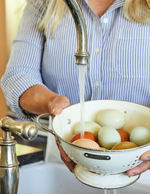 Do I Have to Wash my Fresh Eggs? - Fresh Eggs Daily® with Lisa Steele