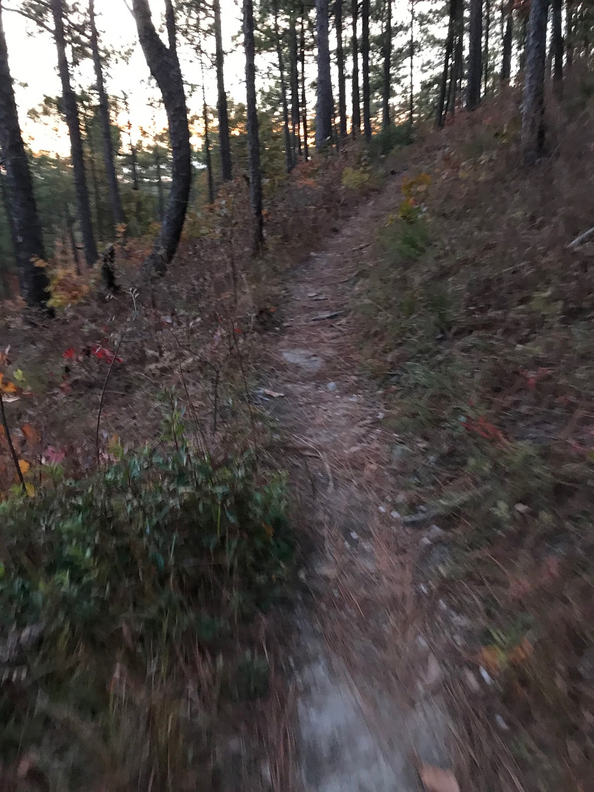 What's Next?: 2017 Pinhoti 100 Race Report