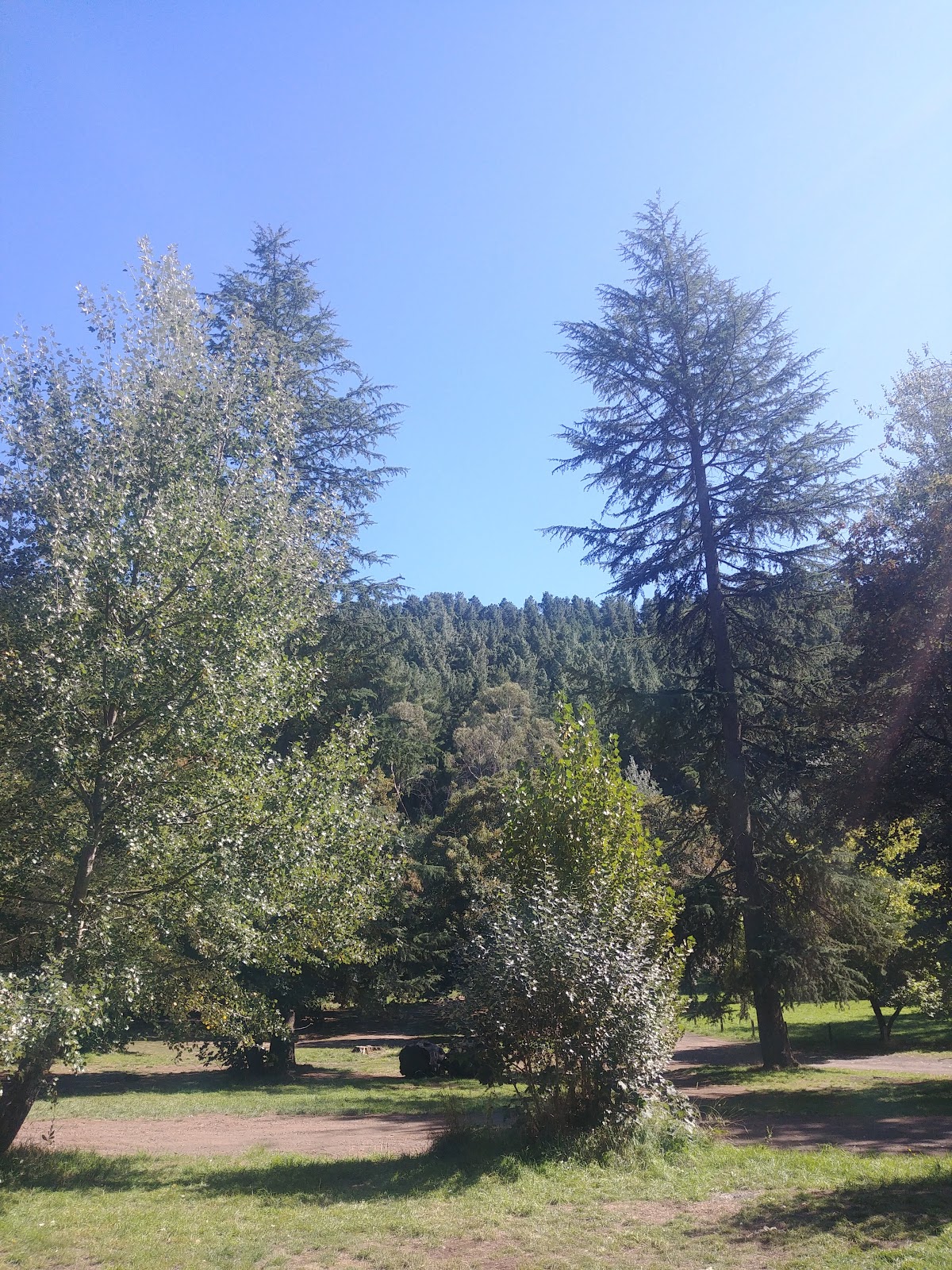 The Roaming 5: Day 30-31 - Enfield State Forest to Mount Franklin Reserve