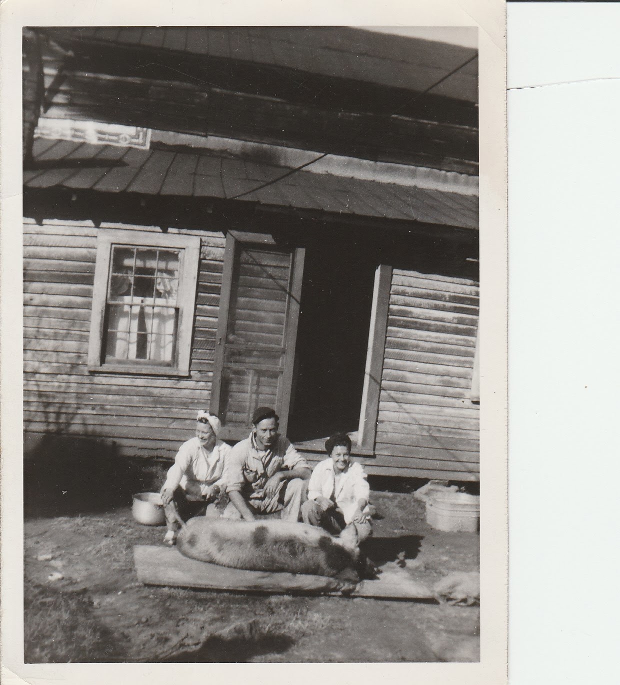 My Appalachian Life: HOG KILLING TIME IN APPALACHIA