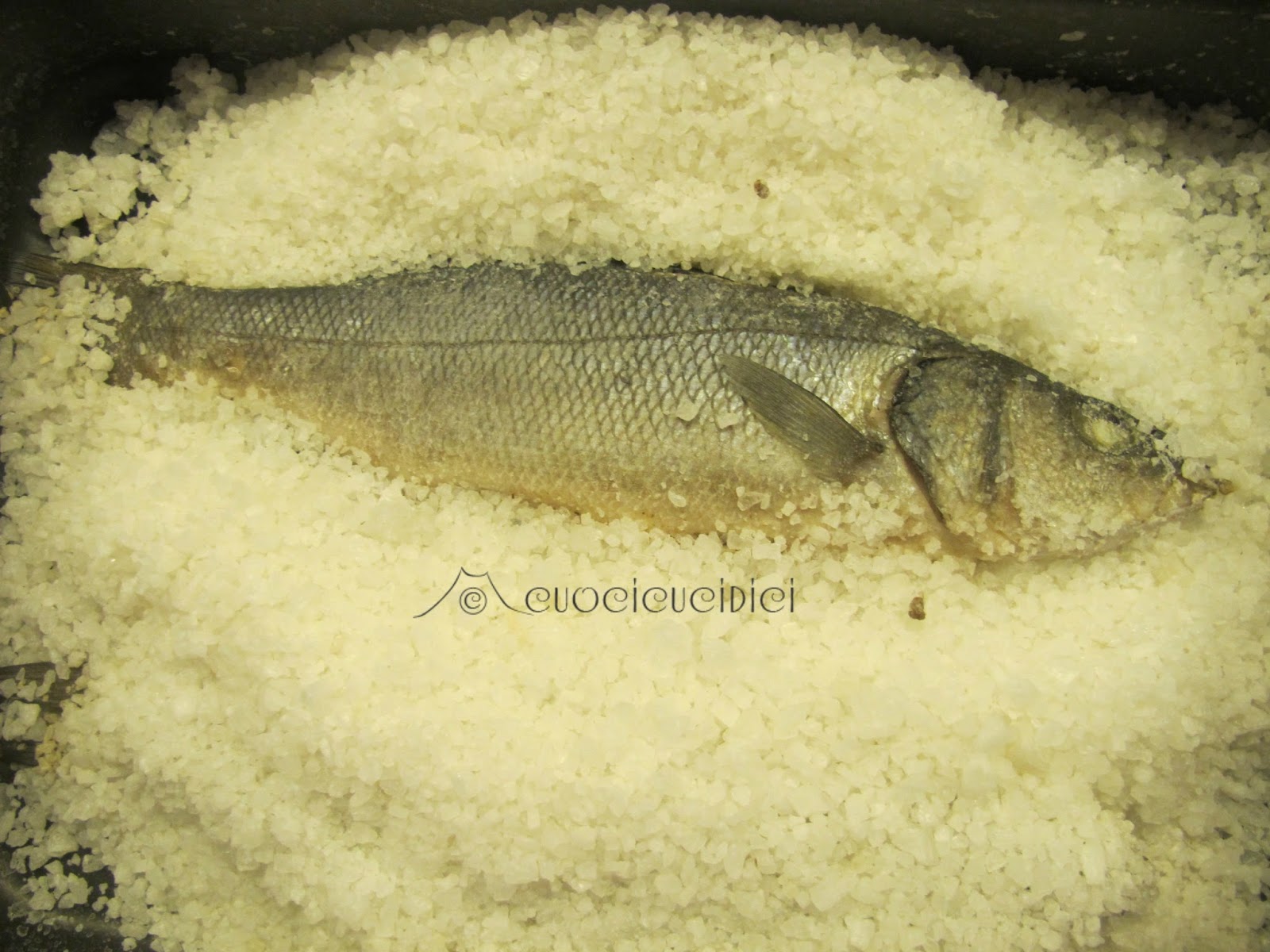 cuocicucidici: PESCE AL SALE - SALT FISH
