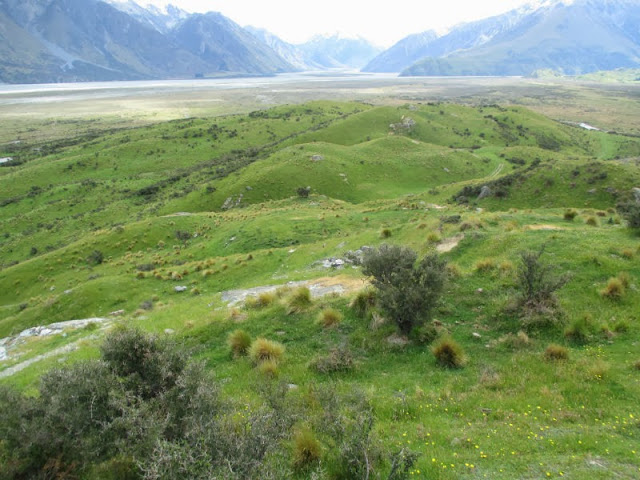 Neuseeland: Rohan (bzw. "MacKenzie Country")