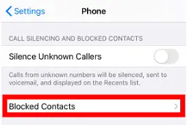 How to See Blocked Numbers on an iPhone?
