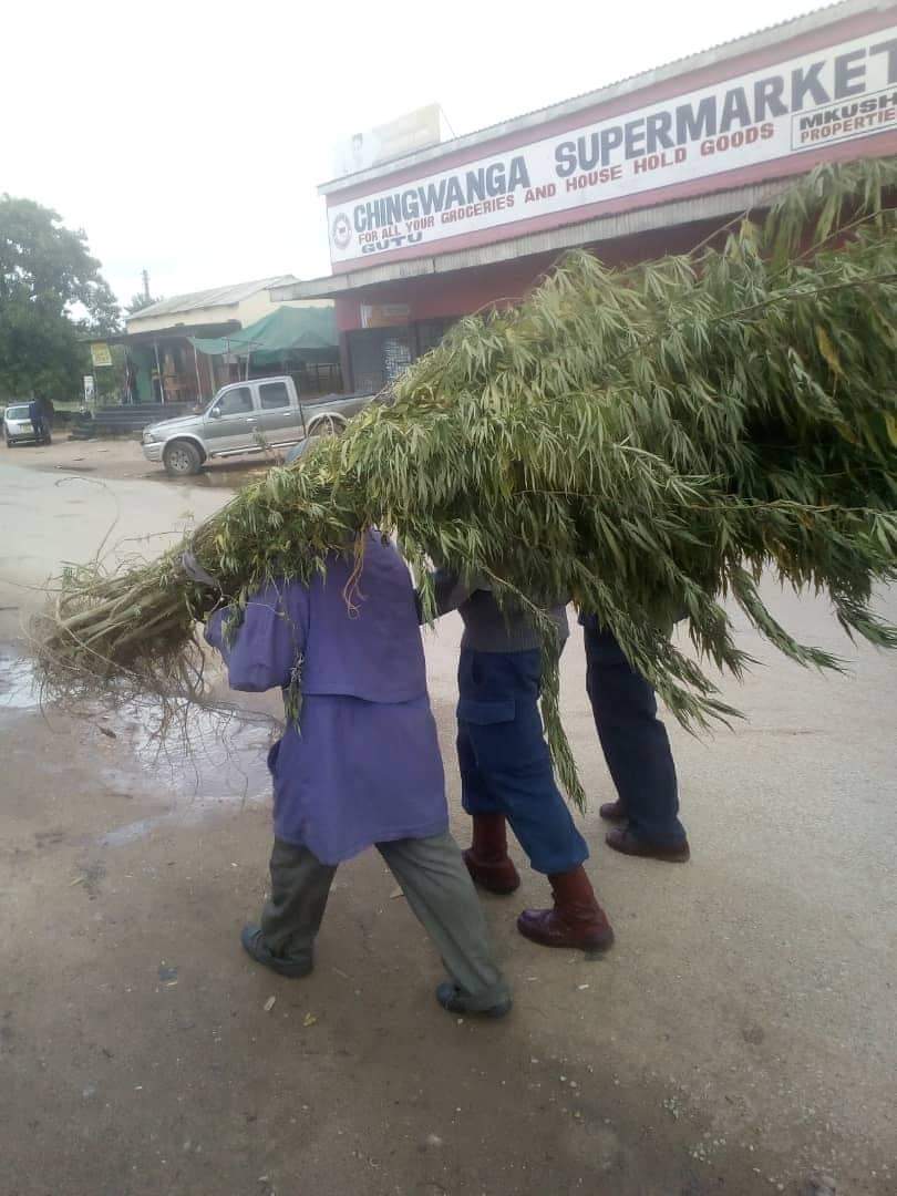 PIC : MBANJE | Mafaro