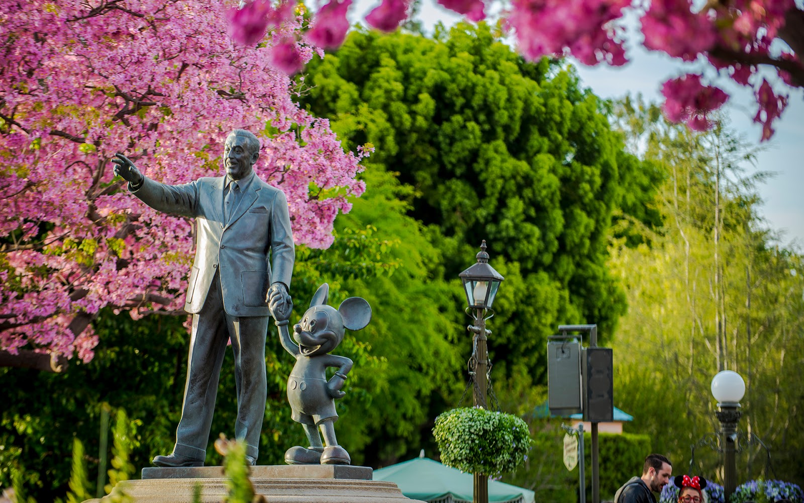 Spring Blossoms at Disneyland