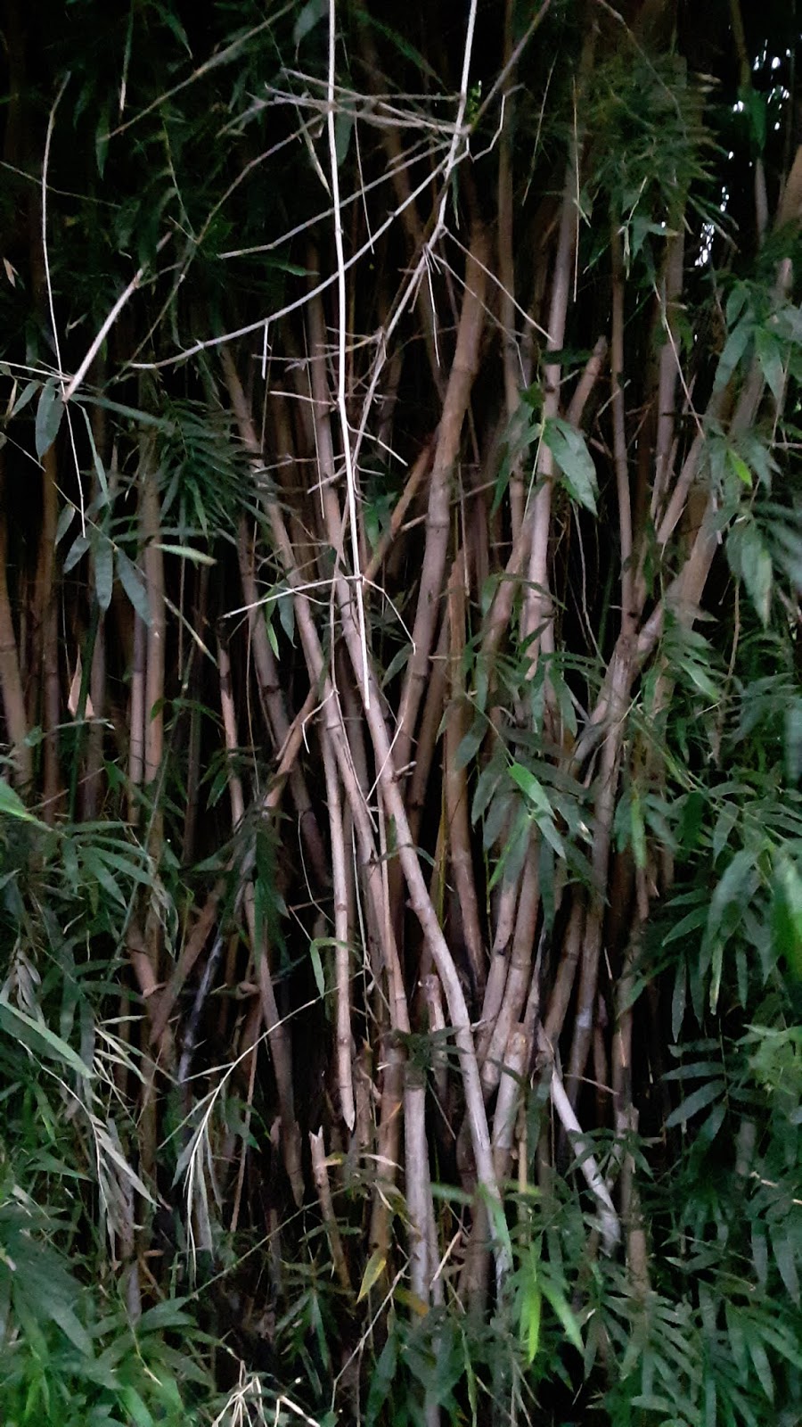 Azriel Johnson, Official Author Blog