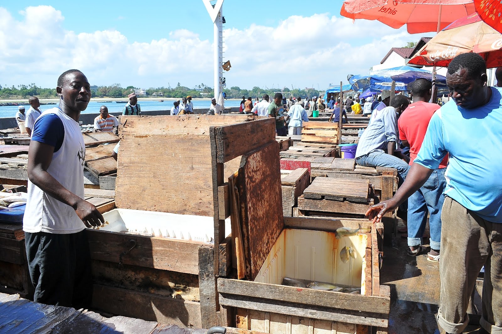 AKIDA: BEI YA SAMAKI VULULU VULULU SOKO LA SAMAKI MAGOGONI
