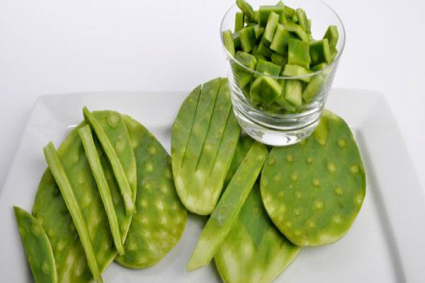 Nopal and Exercise, Healthy Combination?
