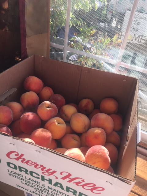 Creekside Cottage: Freestone Peaches Are The Best Part Of Summer!