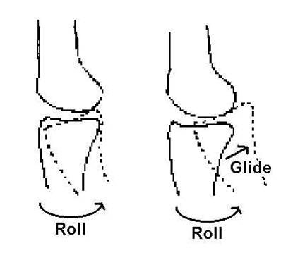 Fisioterapi Poltekkes Jakarta 3