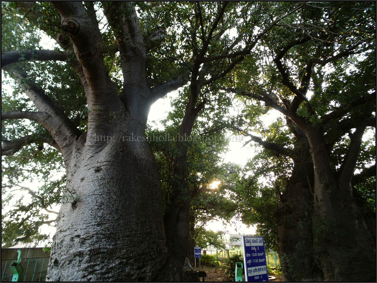 The Voice of Greenery - Trekking and Travelling in Western Ghats ...