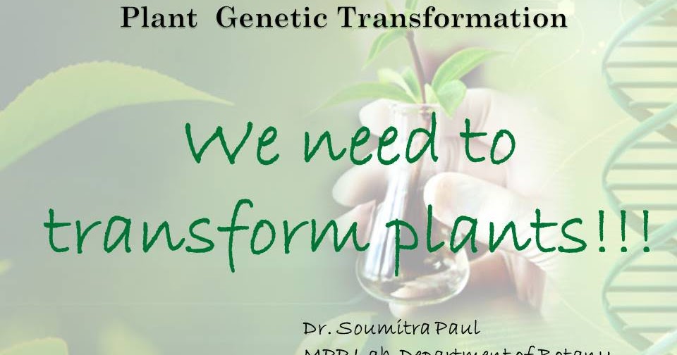 LET'S LEARN PLANTS: Plant Genetic Transformation