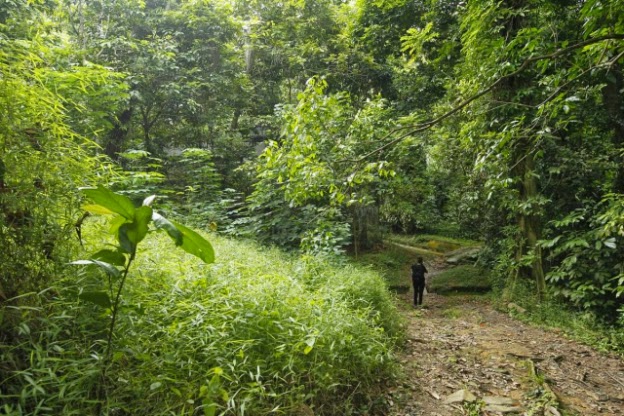 Interesting Green: 50 ways to the Rail Corridor