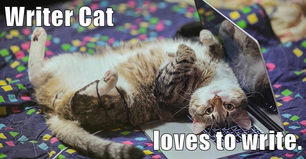 Tiny Tales: Traditional Stories in 100 Words: Documenting the Tiny ...