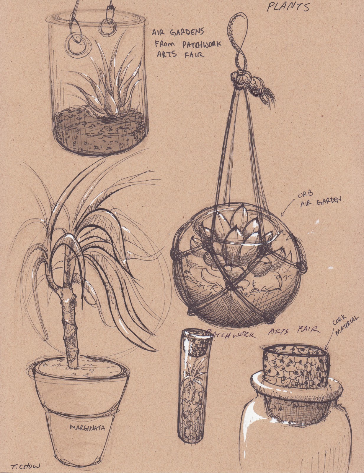 Tyler Chow: Dynamic Sketching Week 2 - Form and Texture