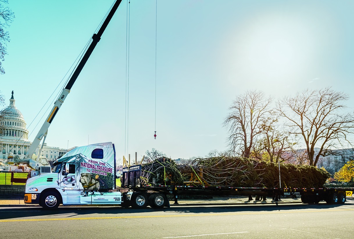 73-foot Capitol Christmas tree rides in on a Mack