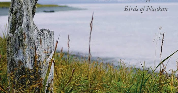 Casey Douglass: Dark Ambient Review: Birds of Naukan