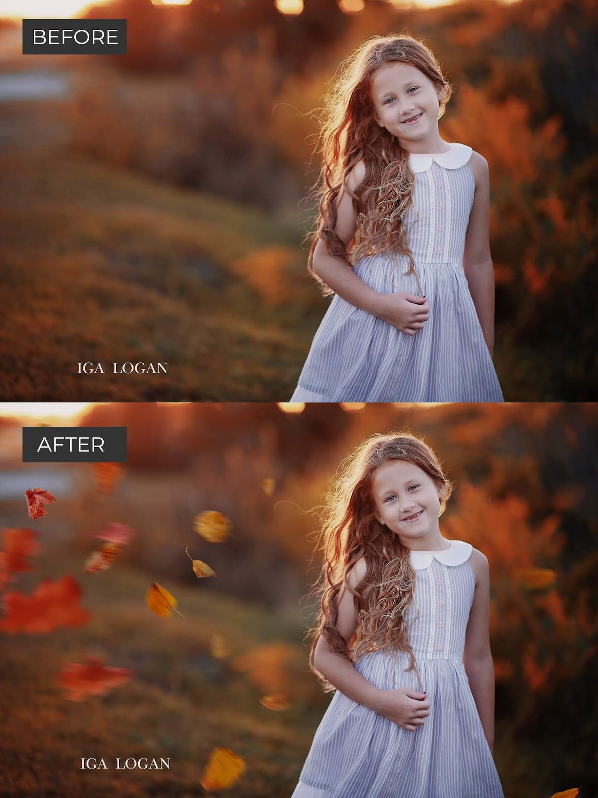 Falling Leaves Effect in a few clicks. - Kimla Designs Photography