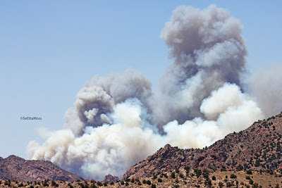 Royal Gorge Wildfire west of Canon City--fire 'blowing up'