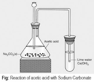 To study the properties of acetic acid (ethanoic acid) - Lab Work