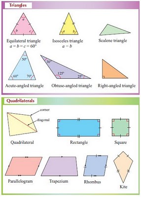 Matematik: POLYGONS FORM 1