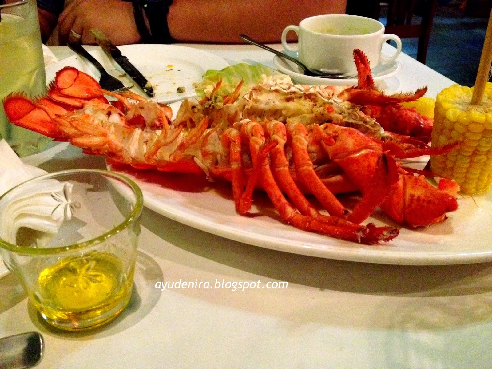 AyuDenira: The Lobsterman - Homarus Americanus