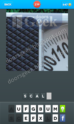 Zoomed In - Photo Word Game Level 239 ~ Doors Geek