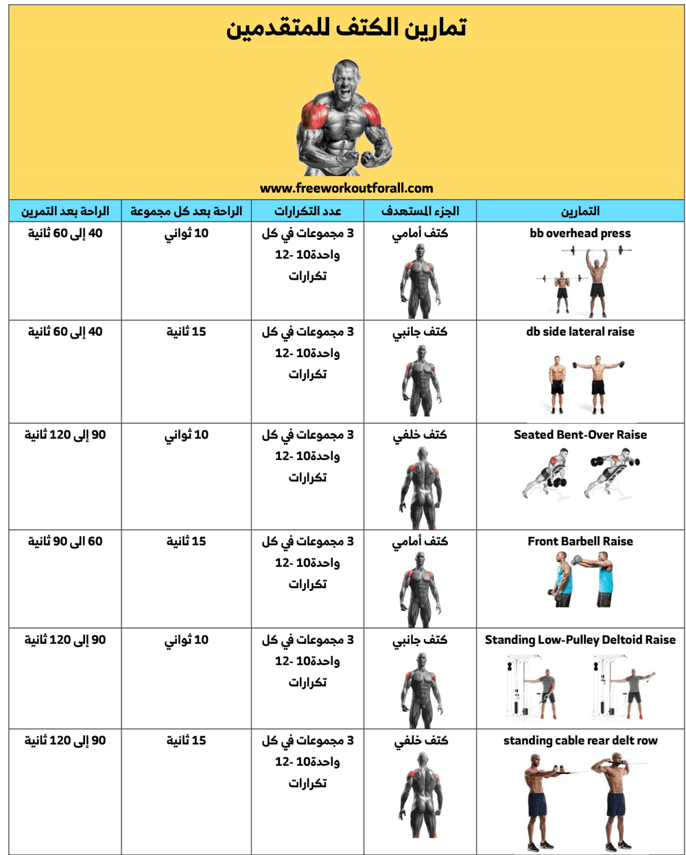 تمارين الكتف بالترتيب بالصور دمر عضلة الكتف
