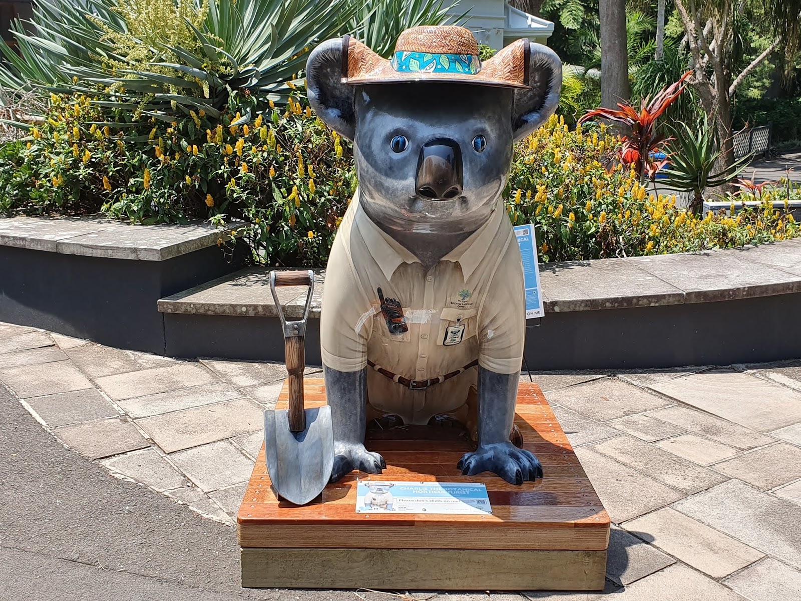 Sydney - City and Suburbs: Royal Botanic Gardens, Hello Koalas ...