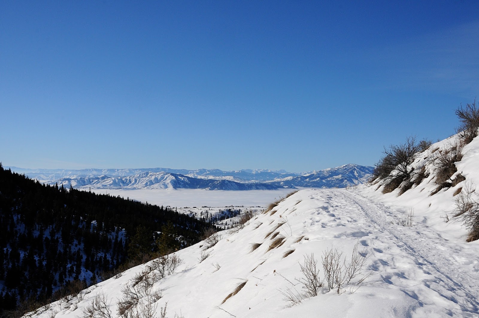 Echo Ridge Trails....The Shoe
