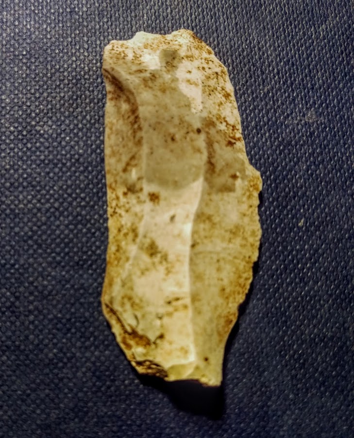 www.Sarsen.org: Early Flint Blade Spotted on Stonehenge Down