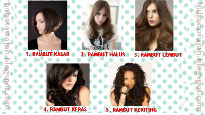 5 Karakteristik Rambut dan Kepribadian Seseorang - Bahasa Wajah