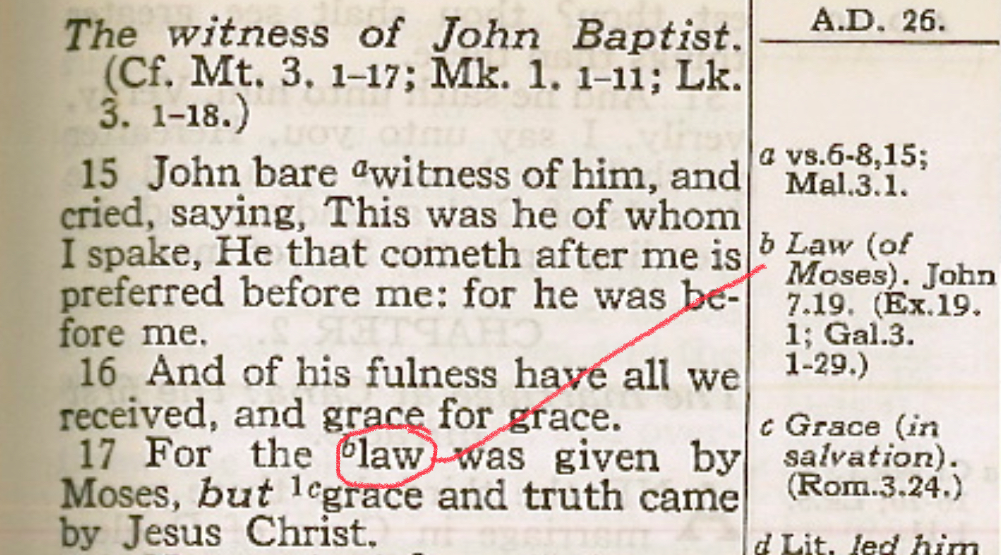 Scripture Spy : Bible Observation