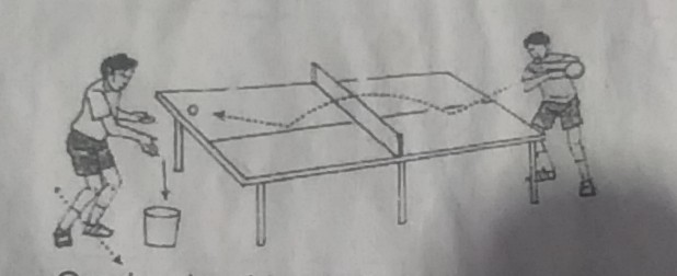 Teknik Dasar Tenis Meja - Jenis Bet, Cara Memegang Bet, Teknik Dasar ...