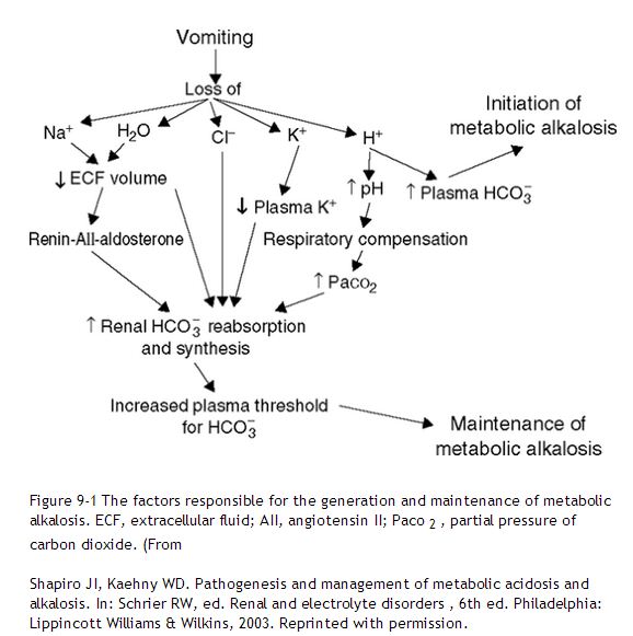 Tutor's Notes: general, cardiovascular, respiratory and renal ...