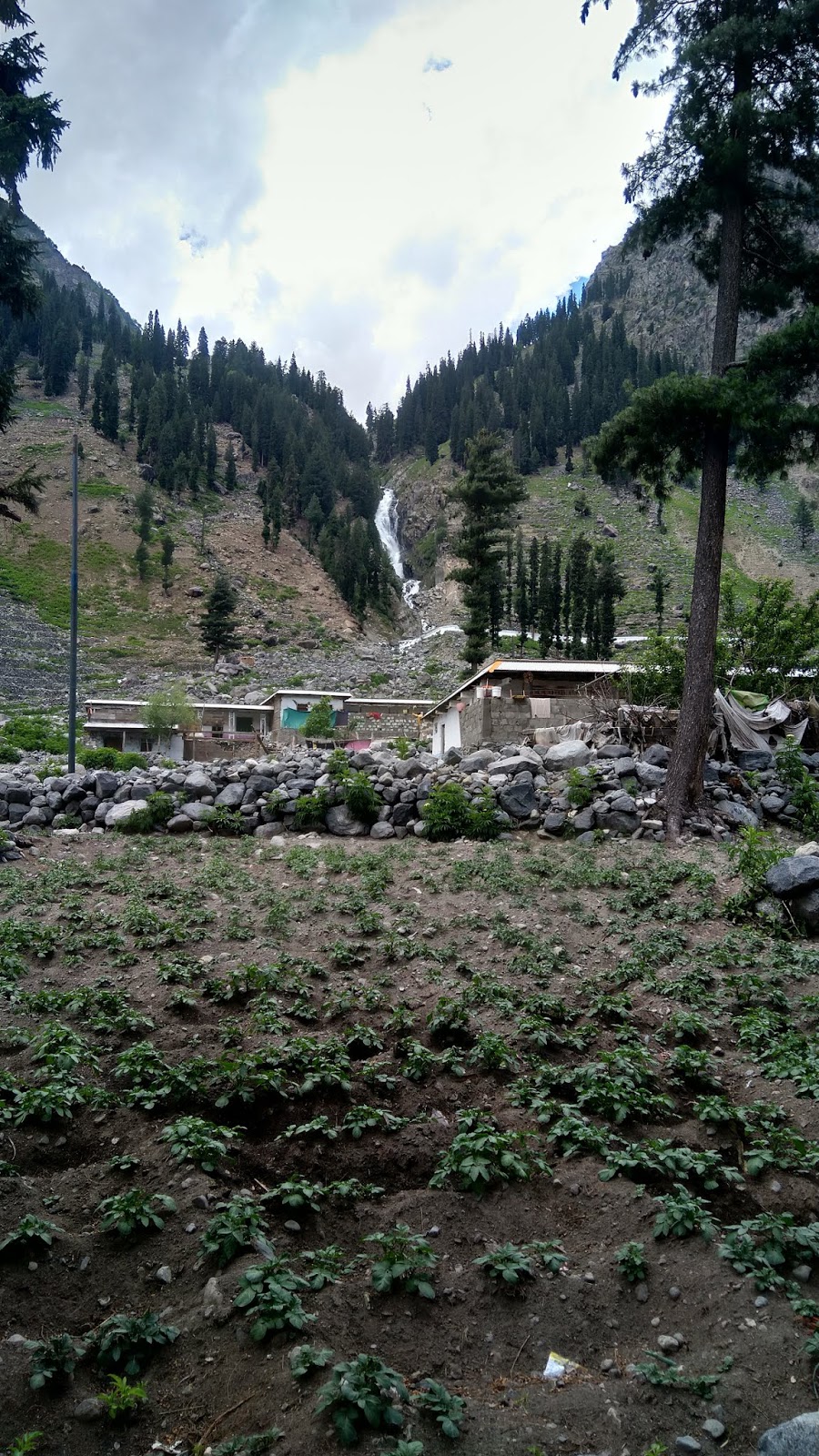 Muzzammil's Travels: June 2018: Swat - Gabral - Badhgoi Pass - Kumrat ...