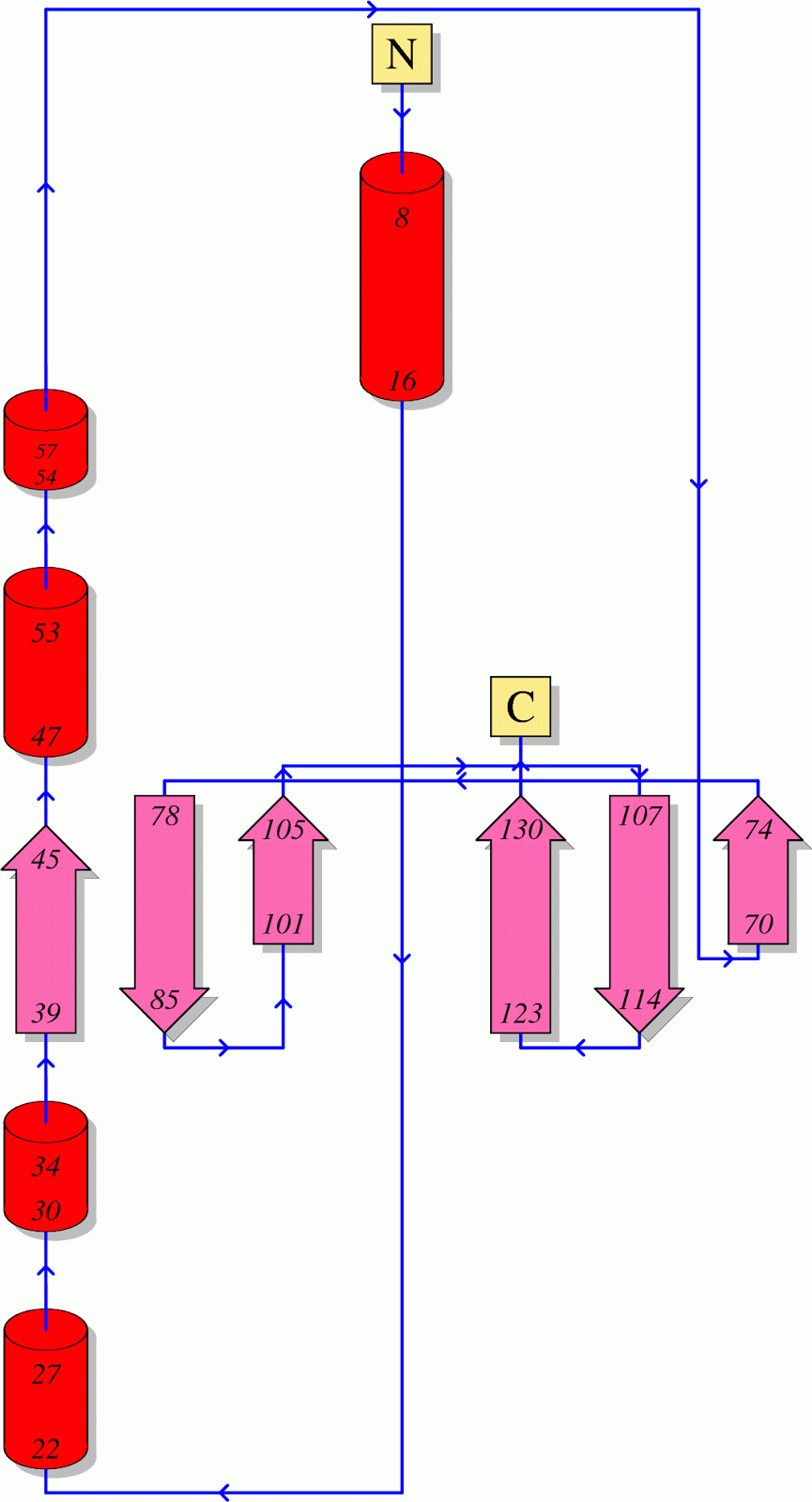 Eosinophil cationic protein - ECP: Estructura de la proteína