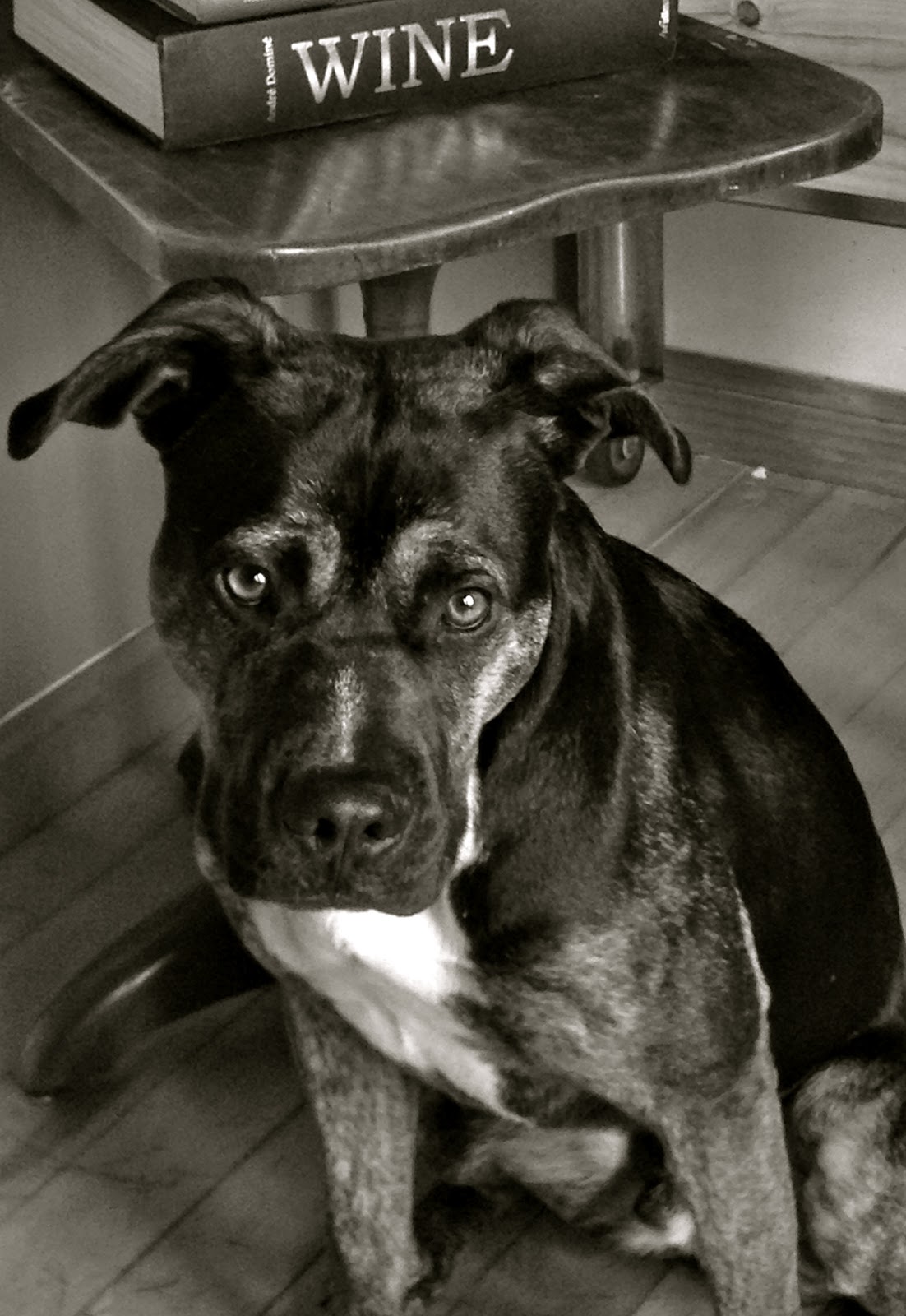 HANNAH COLLINS DESIGN BLOG