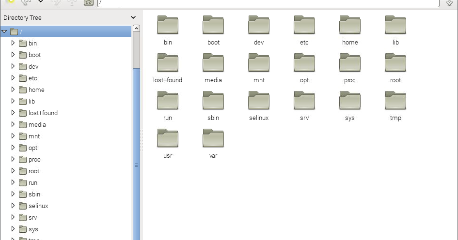 D3.js Tips and Tricks: Linux Directory Structure