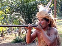 TOXINS PRESENT IN THE BRAZILIAN FAUNA AND FLORA WITH POTENTIAL MEDICAL ...