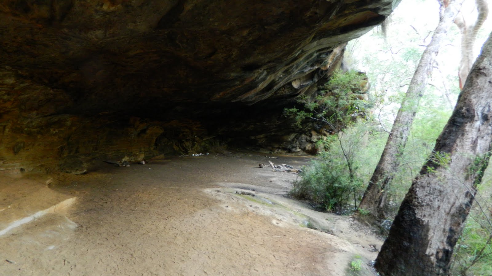 Hike Wild: Bush Walk-Pindar Cave