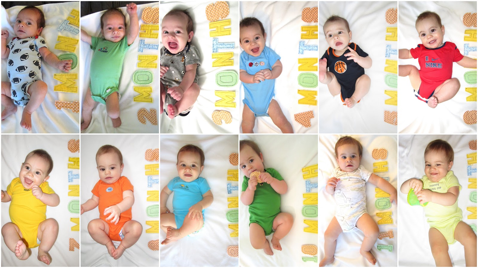 Rachel Zimm: baby age photo prop