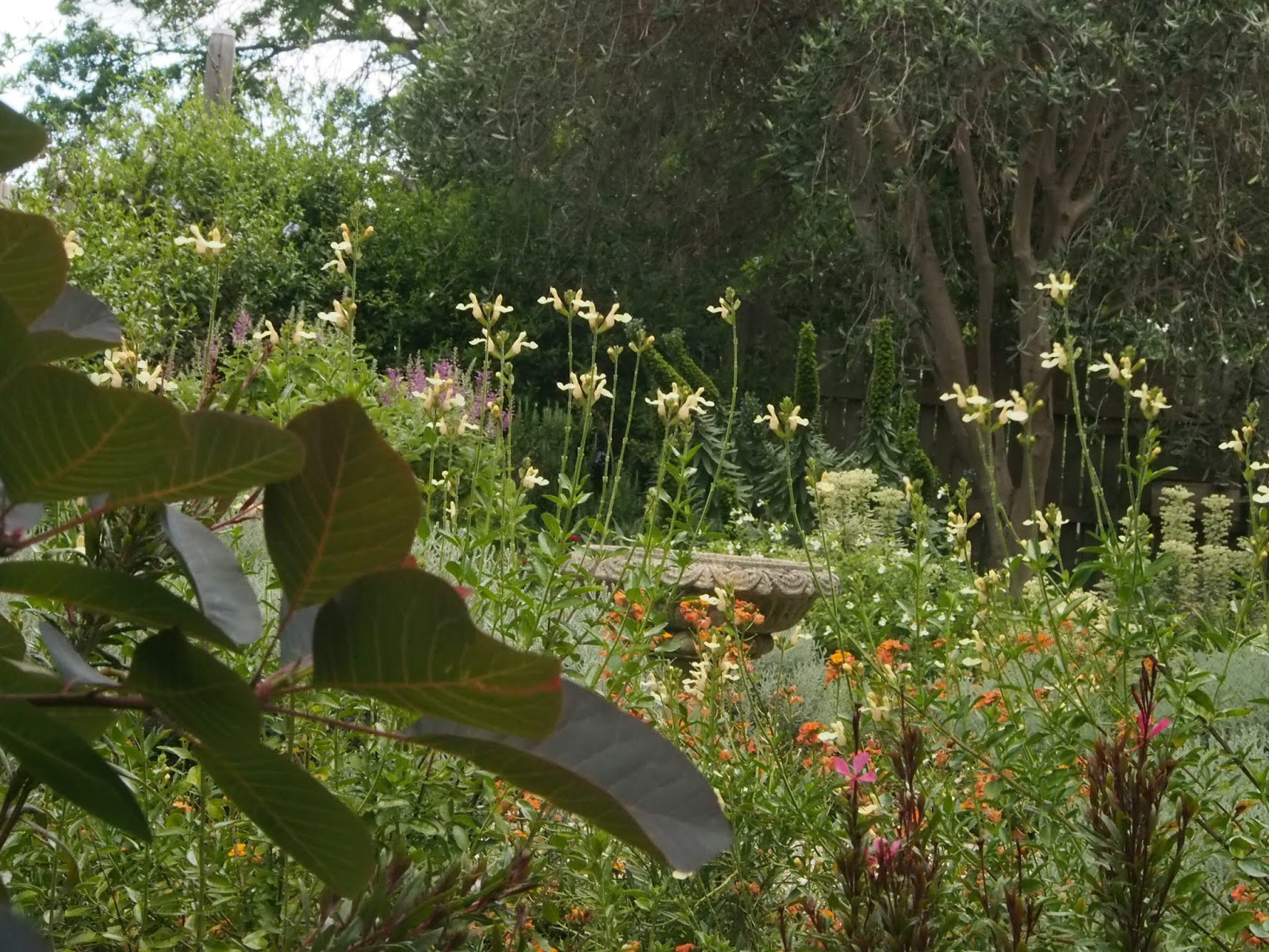 saving lives, and front garden in spring