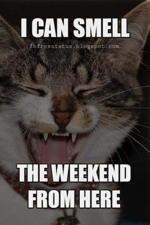 The Weekend Quotes & Sayings with beautiful Weekend Images