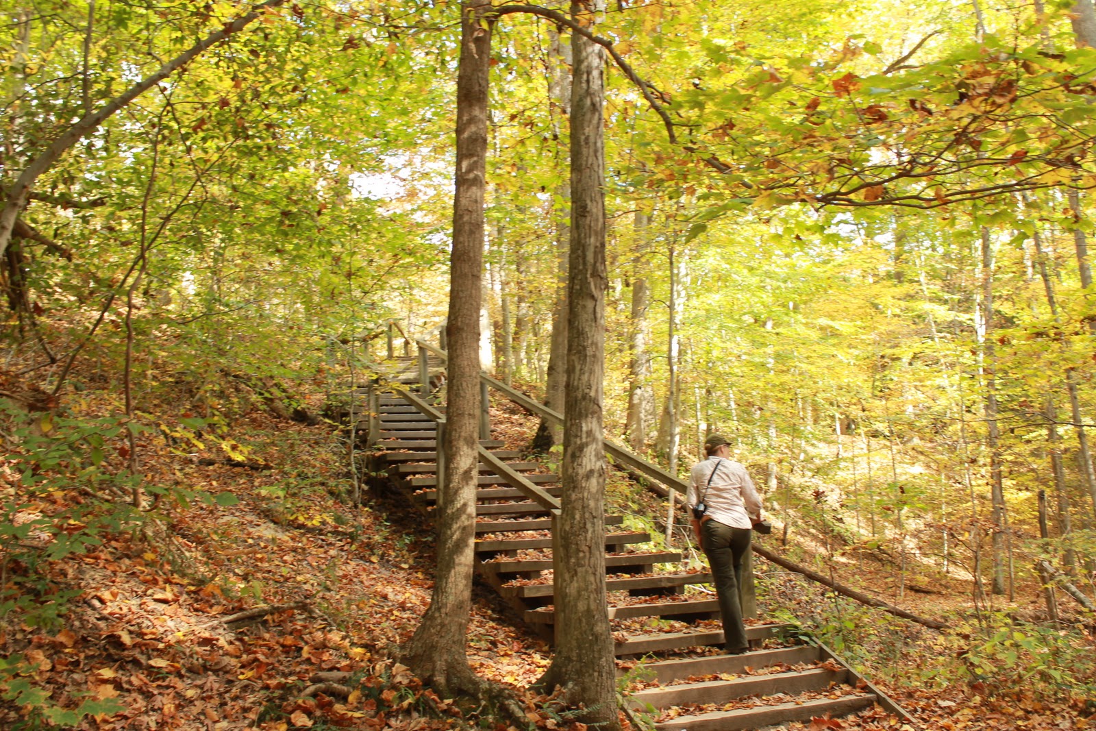 Janie Fox talks: What I Know For Sure About Camping With the CoopKeeper