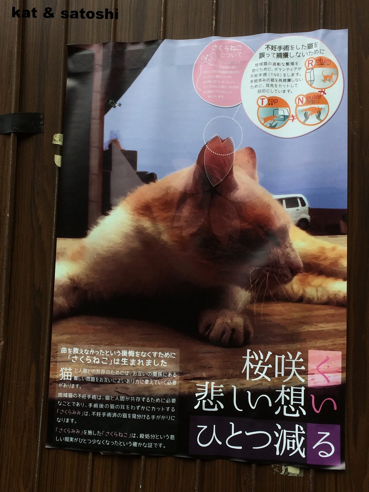 Our Adventures in Japan: takamatsu-ogishima-takamatsu-osaka