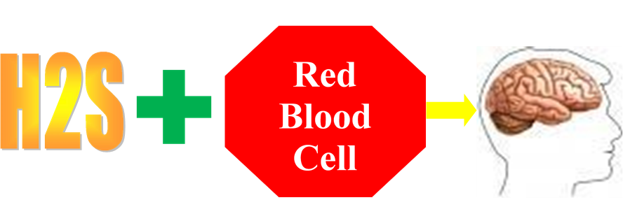 HYDROGEN SULFIDE MONITORING PROCEDURE | HSE