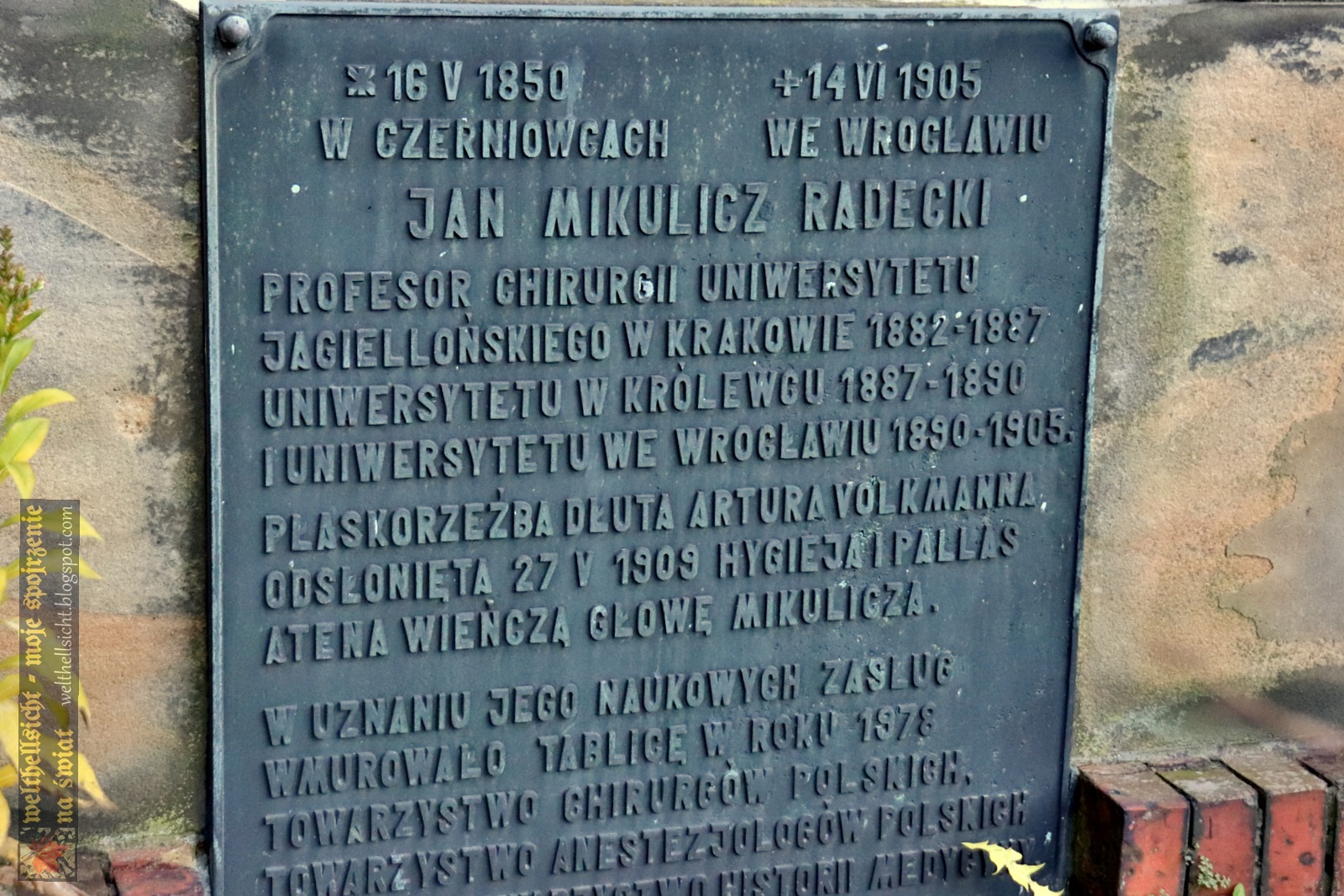 welthellsicht - moje spojrzenie na świat : Maseczki i rękawice ...